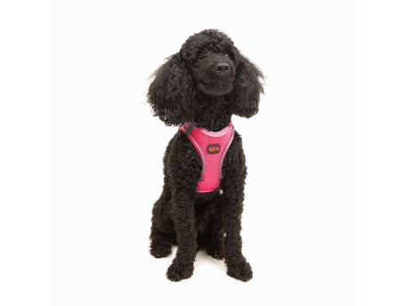 Paws & Whiskers Am za pse Air Mesh Neo Pink 2XS