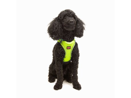 Paws & Whiskers Am za pse Air Mesh Neo Lime M