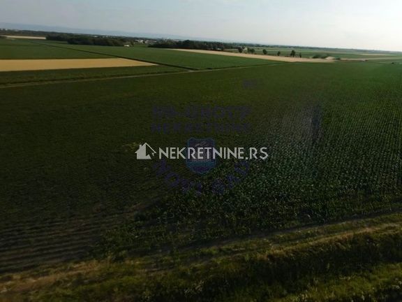 Prodaje se ogromna parcela u Kaću