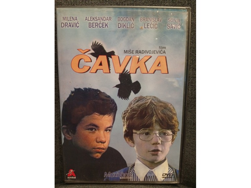 Čavka