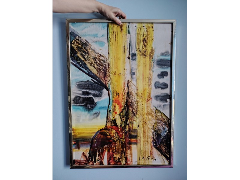 SLIKA SENADA ALIĆA, 71cm x 51cm