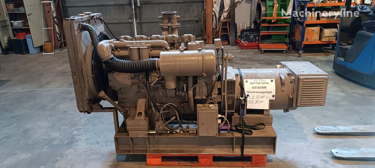 Diesel generator