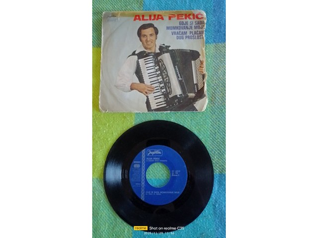 ALIJA PEKIC 1980 - GDJE SI SADA MOMKOVANJE MOJE