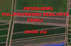 ČENEJ - 20480 m2 – Poljoprivredno zemljišete – 91700 Evra ID#2682