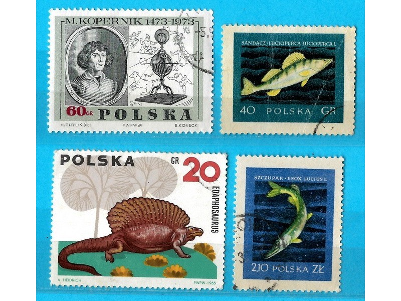 Lot 028 Poljska