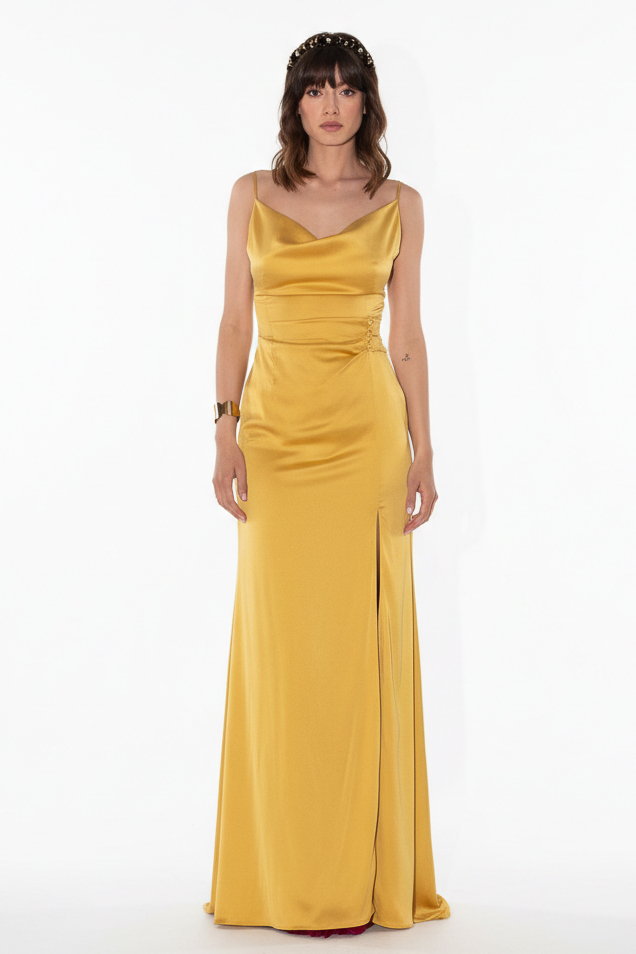 Mustard Long Dress