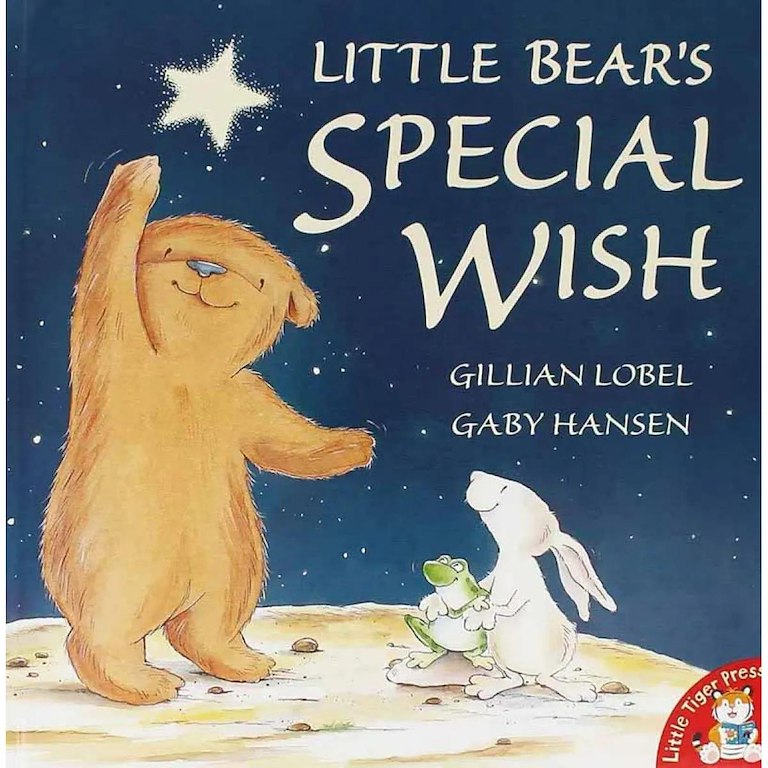 LITTLE BEAR'S SPECIAL WISH