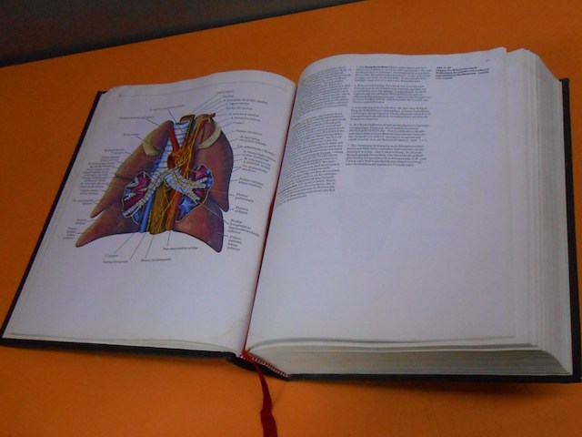 Klinische Anatomie. Atlas und Textbuch Klaus Ulrich
