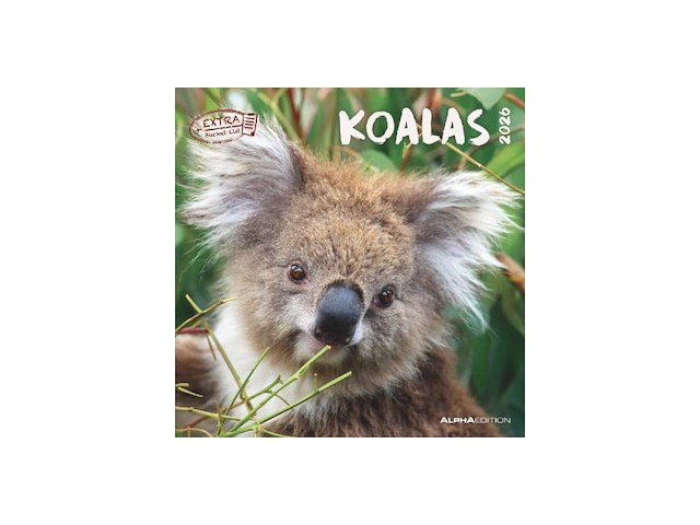 Zidni kalendar 2026 - Koalas, 30x30 cm