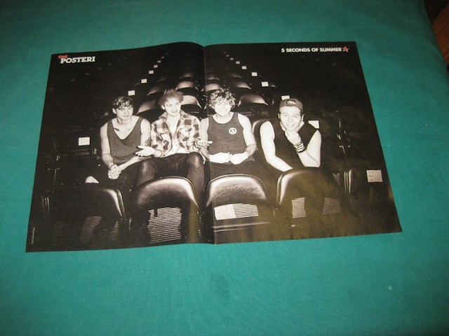 Poster (dvostrani) 5 Seconds of Summer, Demi Lovato
