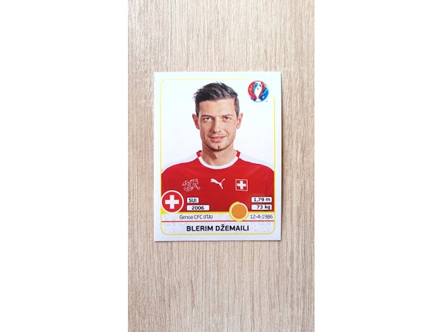 Euro 2016 Panini sličica broj 113