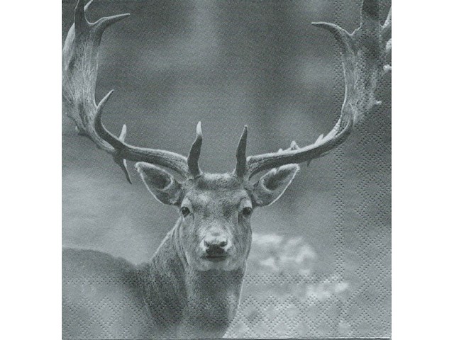 Salveta POV53K1_43 - 33x33cm Jelen