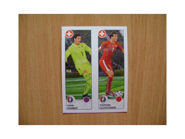 Euro 2016 Panini sličica broj 096 96