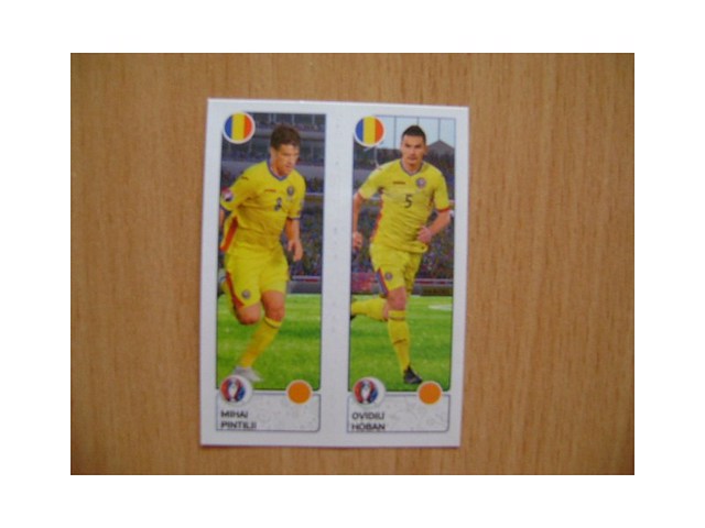 Euro 2016 Panini sličica broj 046 46