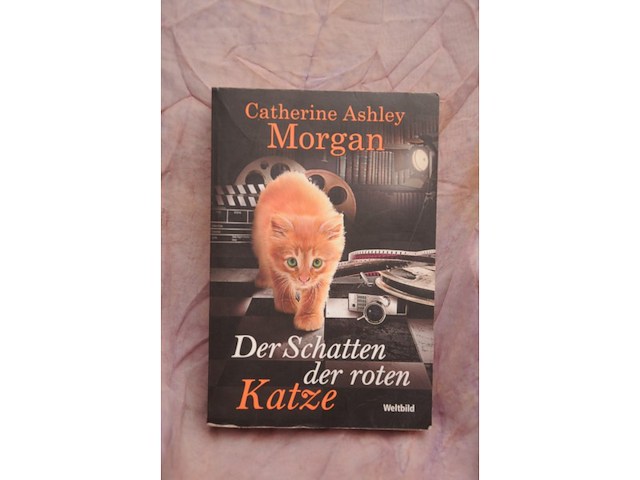 Der Schatten der roten Katze