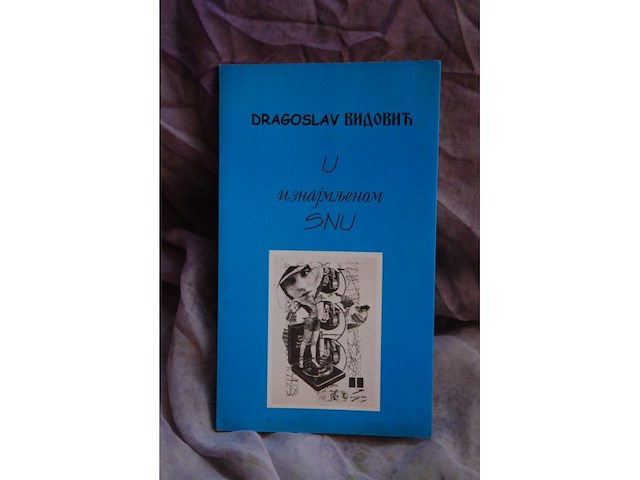 U iznajmljenom snu - Dragoslav Vidovic