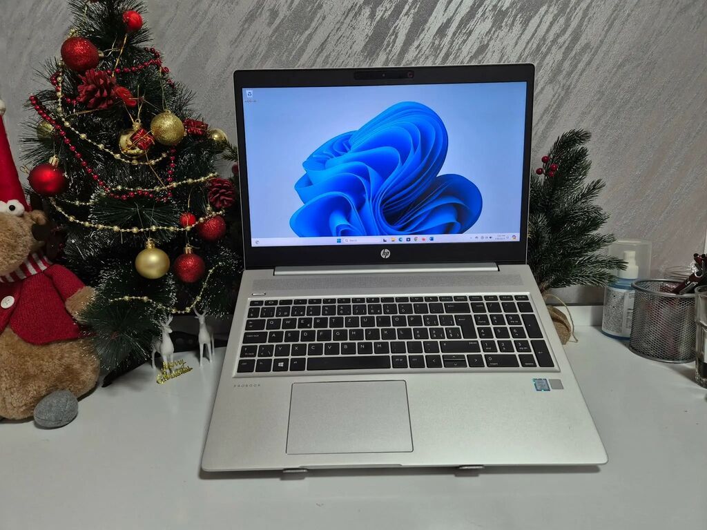 HP ProBook 450 G6 – poslovni laptop - Ekran: mat (antirefleks)