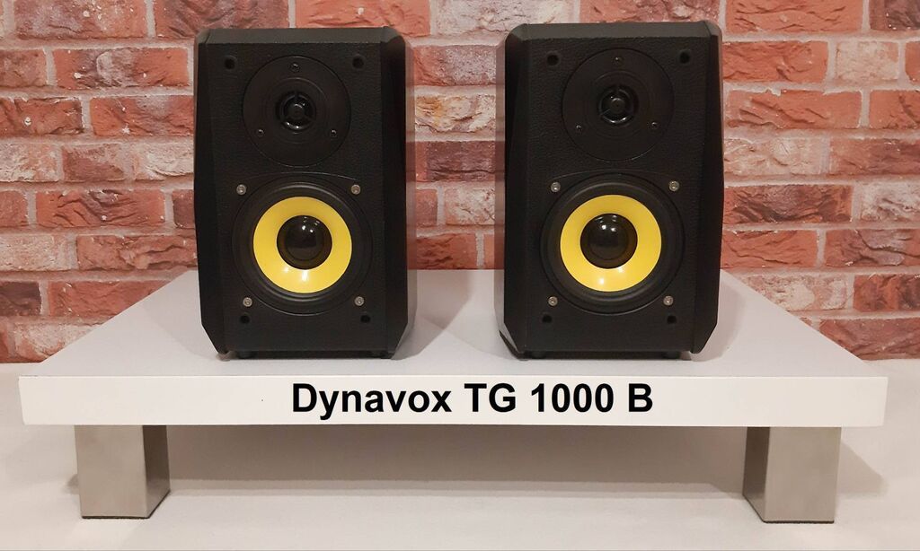 Odlično očuvani zvučnici marke Dynavox TG 1000 B Zvučno perfektni