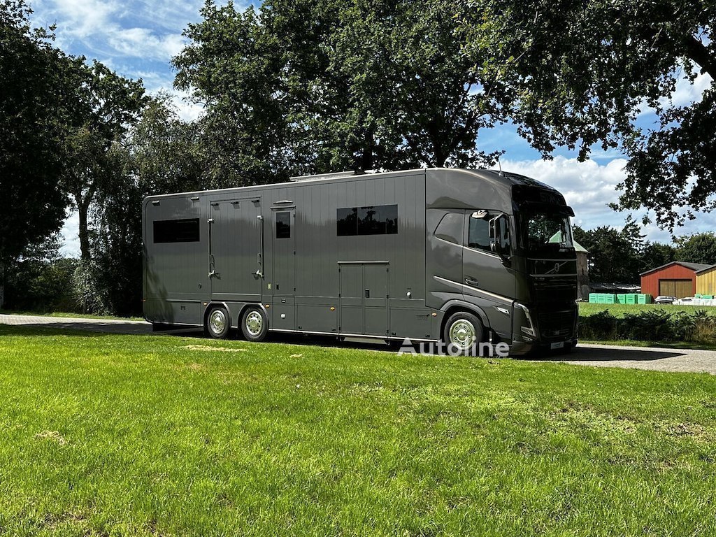 Volvo FH 540 kamion za prevoz konja