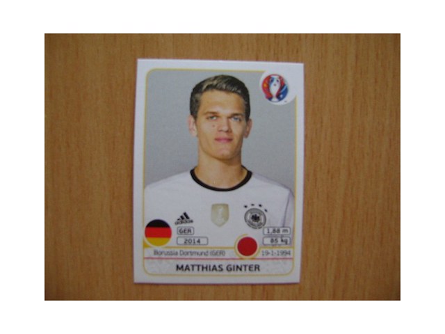 Euro 2016 Panini sličica broj 245