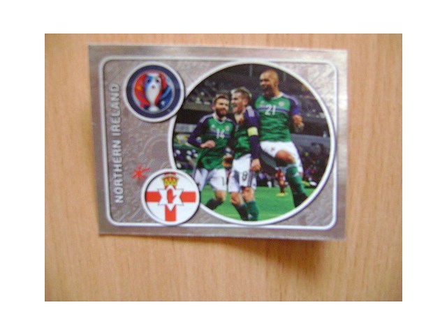 Euro 2016 Panini sličica broj 239