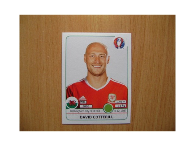 Euro 2016 Panini sličica broj 197