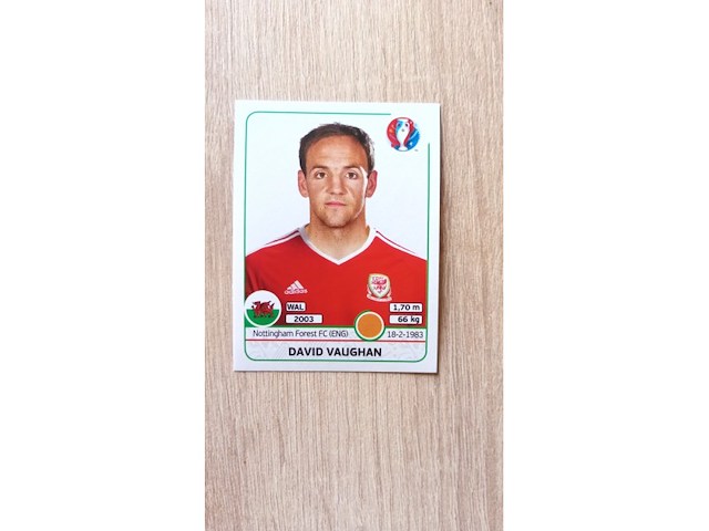 Euro 2016 Panini sličica broj 189