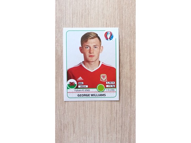 Euro 2016 Panini sličica broj 196