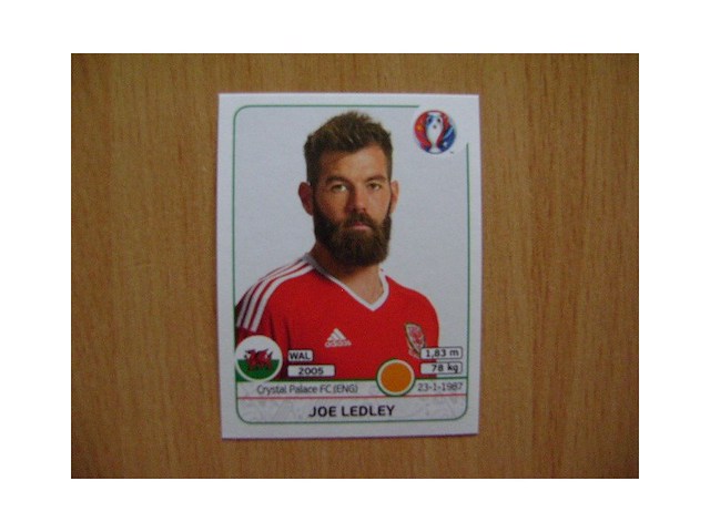 Euro 2016 Panini sličica broj 192