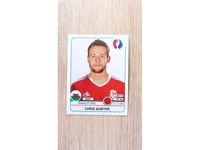 Euro 2016 Panini sličica broj 185