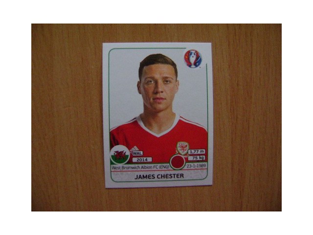 Euro 2016 Panini sličica broj 183