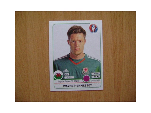 Euro 2016 Panini sličica broj 181