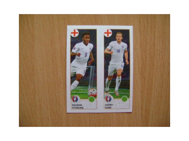 Euro 2016 Panini sličica broj 154