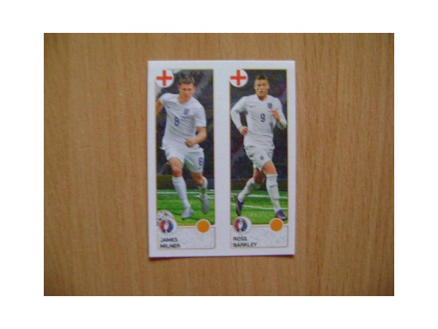 Euro 2016 Panini sličica broj 153