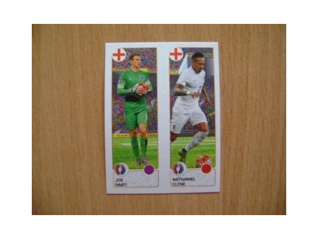 Euro 2016 Panini sličica broj 150