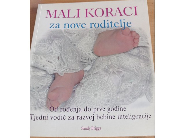 Mali koraci za nove roditelje – Sandy Briggs