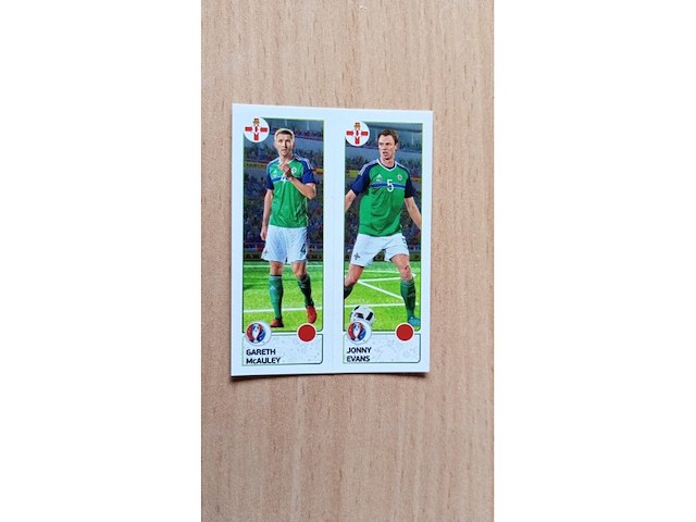 Euro 2016 Panini sličica broj 321