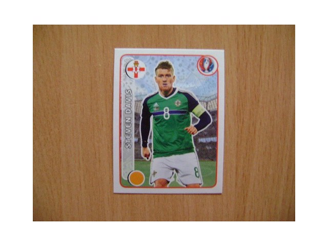 Euro 2016 Panini sličica broj 319