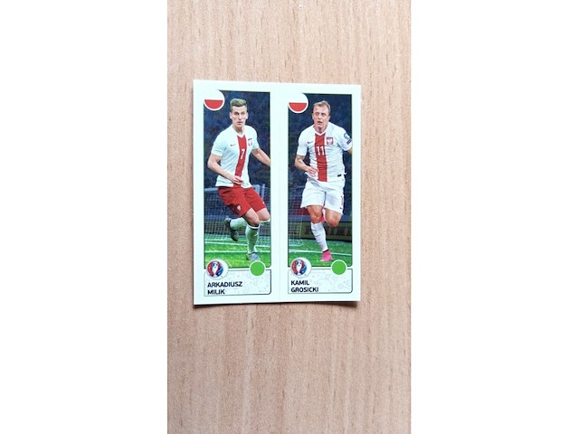 Euro 2016 Panini sličica broj 318