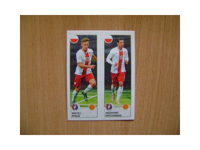 Euro 2016 Panini sličica broj 316