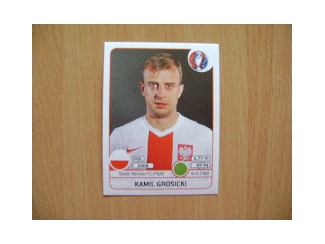Euro 2016 Panini sličica broj 310