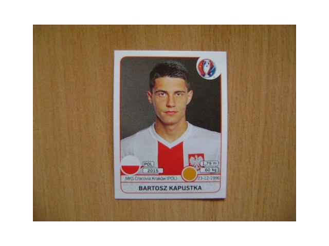 Euro 2016 Panini sličica broj 309