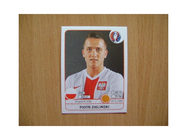 Euro 2016 Panini sličica broj 308