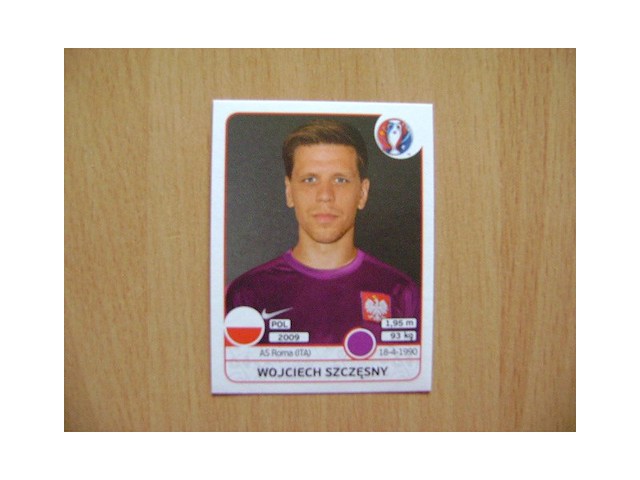 Euro 2016 Panini sličica broj 294