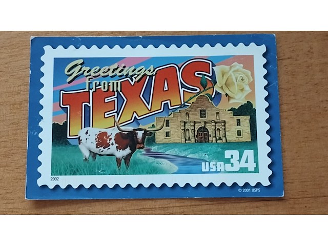Amerika - USA - Teksas - Texas - Životinja Bik