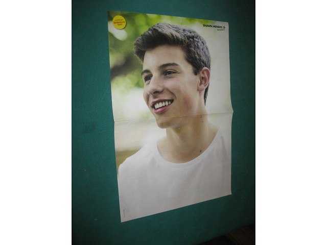 Poster Shawn Mendes