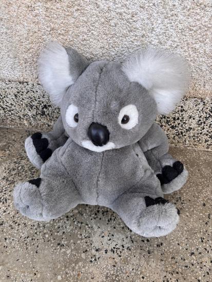 koala
