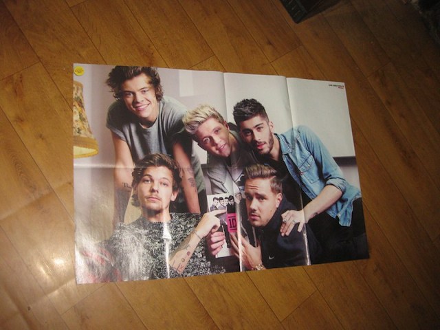 Poster (dvostrani) One Direction, Demi Lovato