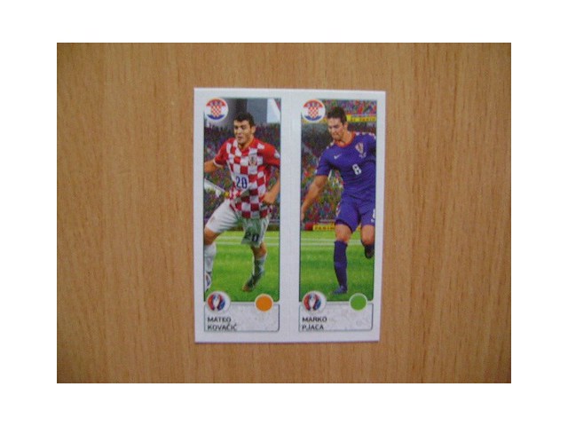 Euro 2016 Panini sličica broj 435
