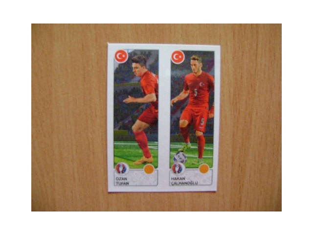 Euro 2016 Panini sličica broj 429